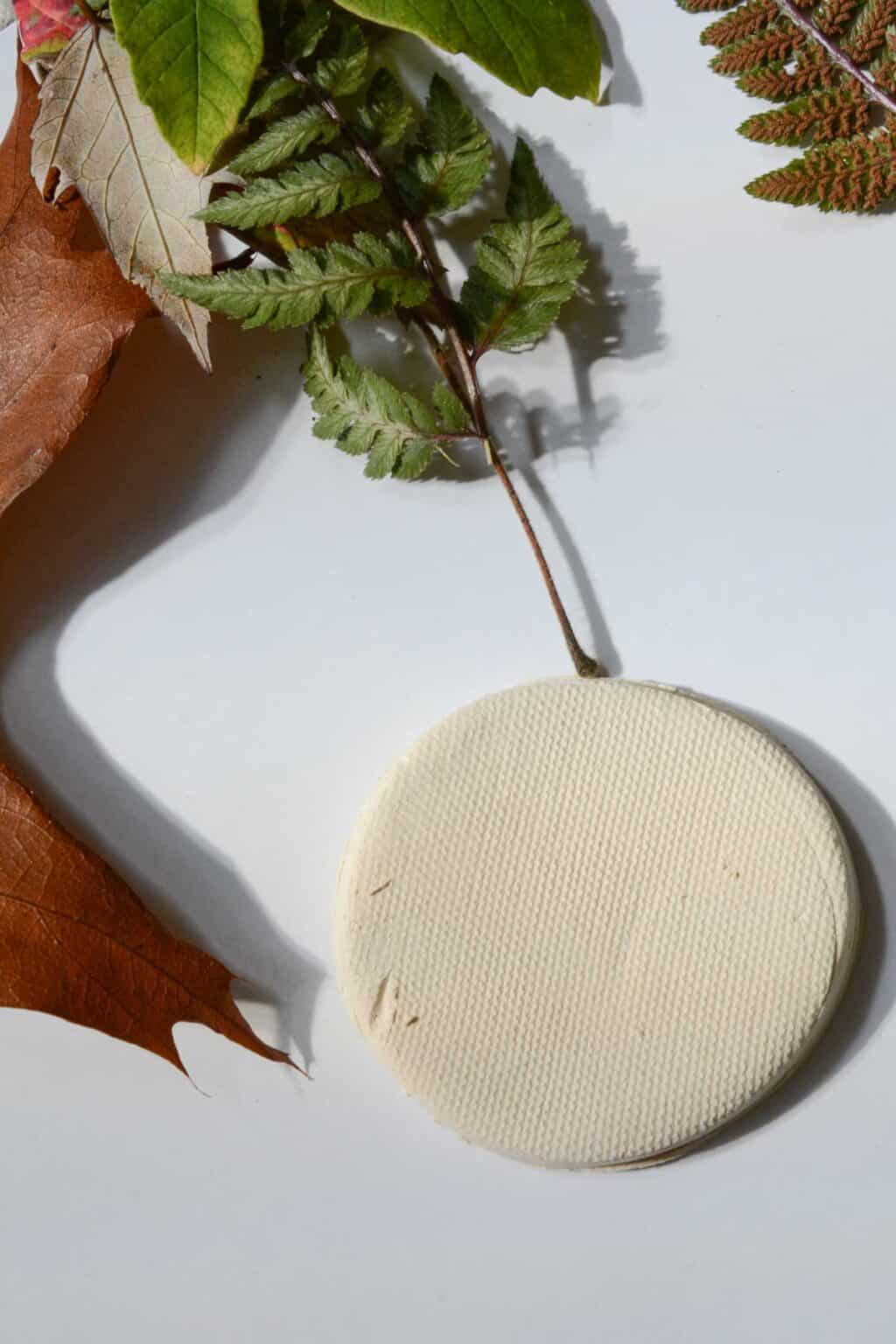 DIY Clay Leaf & Nature Impression Craft With Kids - Crafty Art Ideas