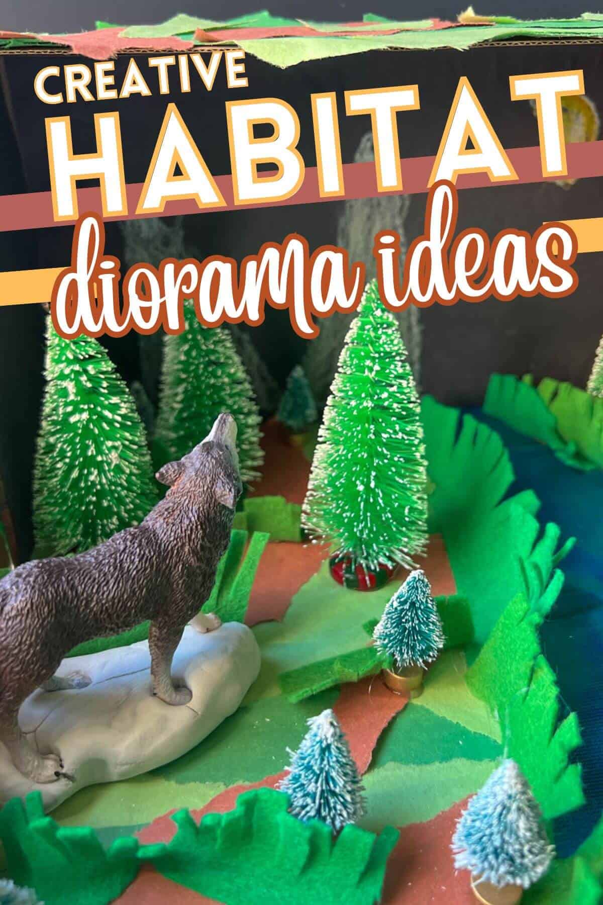 Animal Habitat Diorama Lesson Plan at Amelia Hardey blog