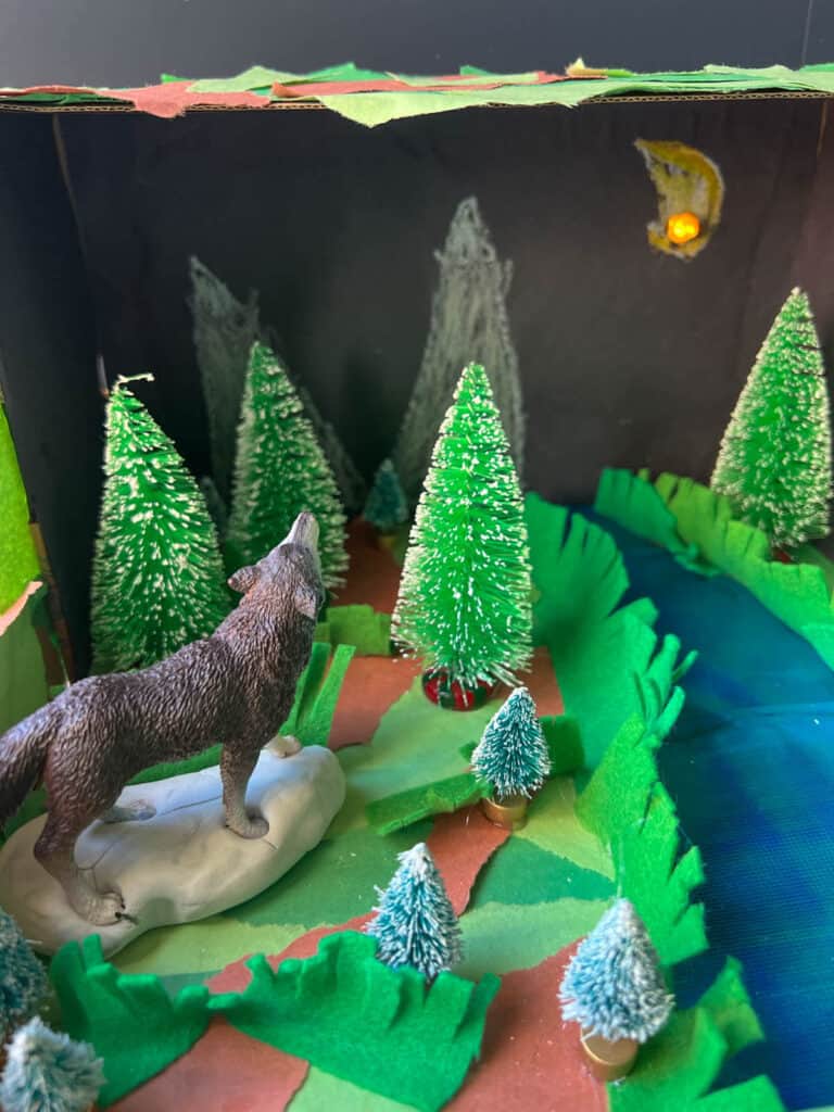 Creative & Easy Shoebox Habitat Diorama Examples For Real Kids - Crafty ...