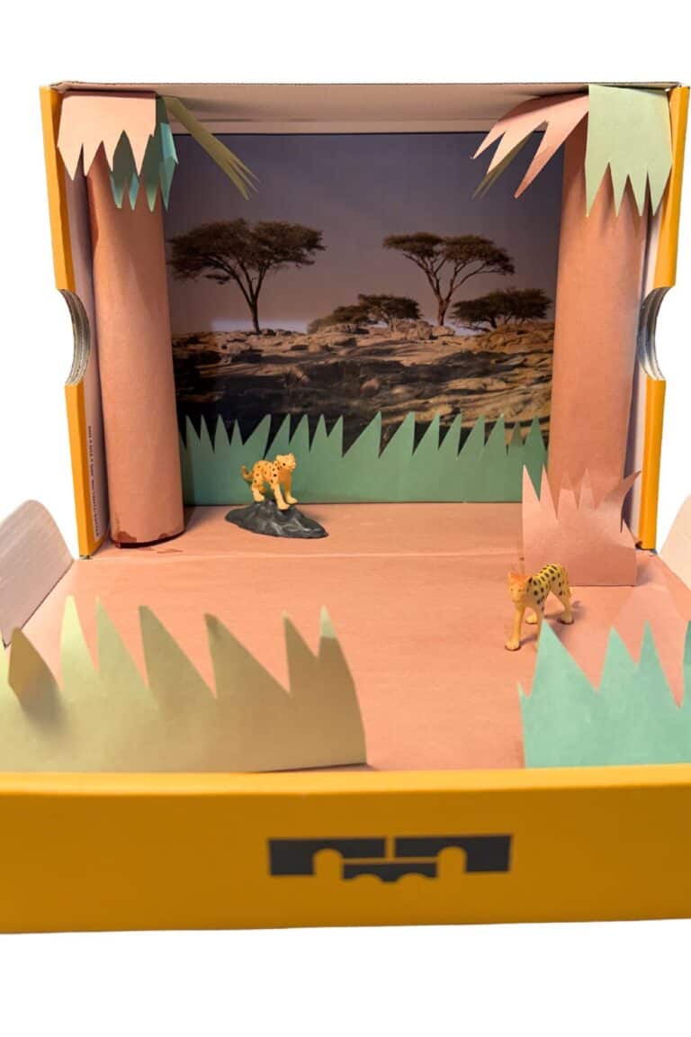 Creative & Easy Shoebox Habitat Diorama Examples For Real Kids - Crafty ...