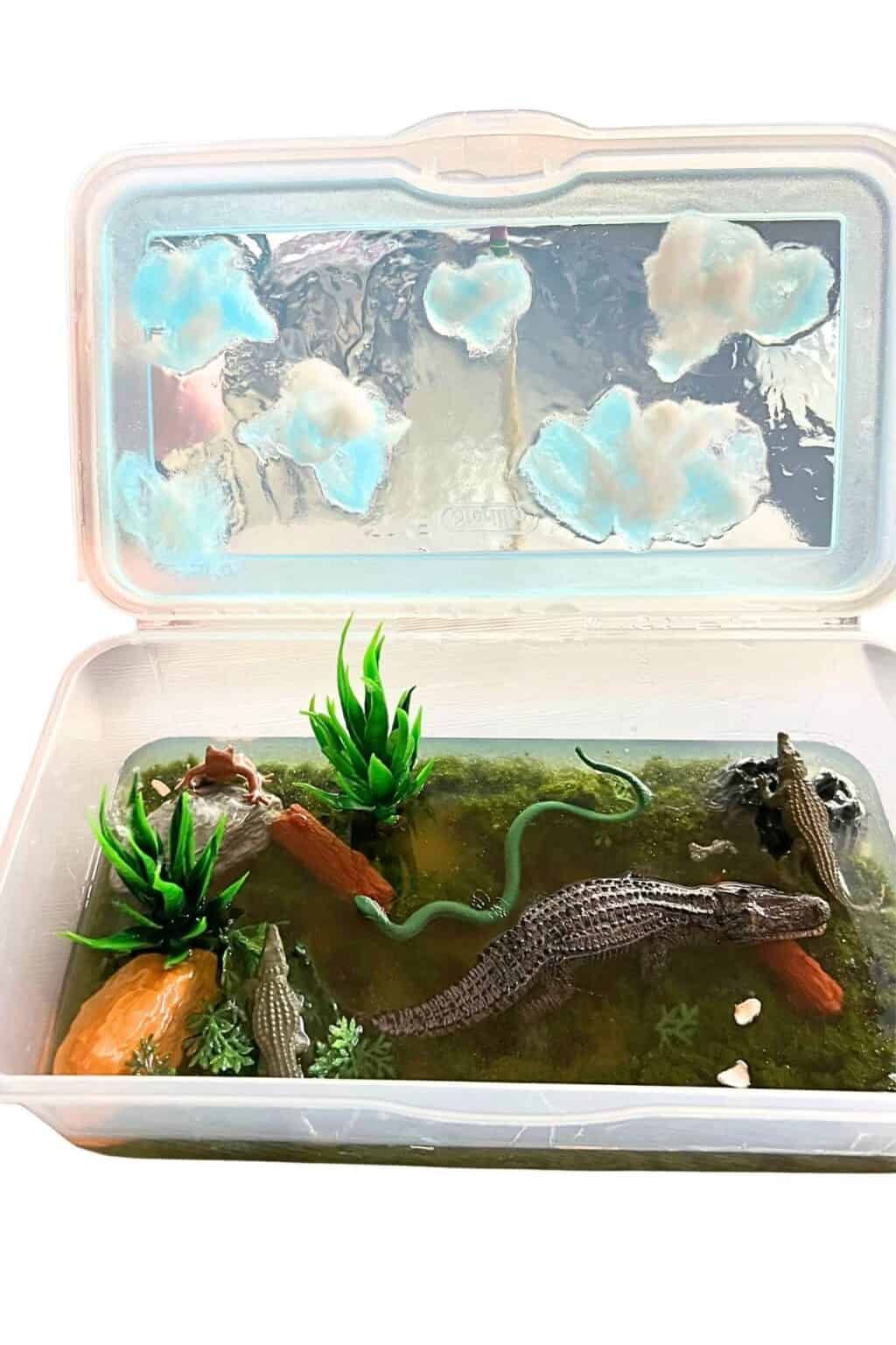 Creative & Easy Shoebox Habitat Diorama Examples For Real Kids - Crafty ...